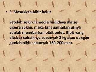 Budidaya Belut dalam Drum | PPTX