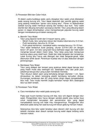 Budidaya burung walet | PDF