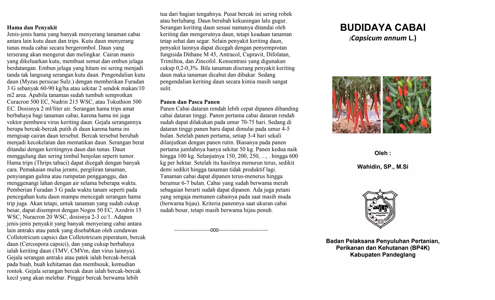 Budidaya cabai | DOCX