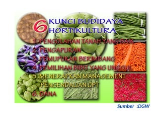 Prinsip dasar persiapan budidaya tanaman hortikultura.ppt