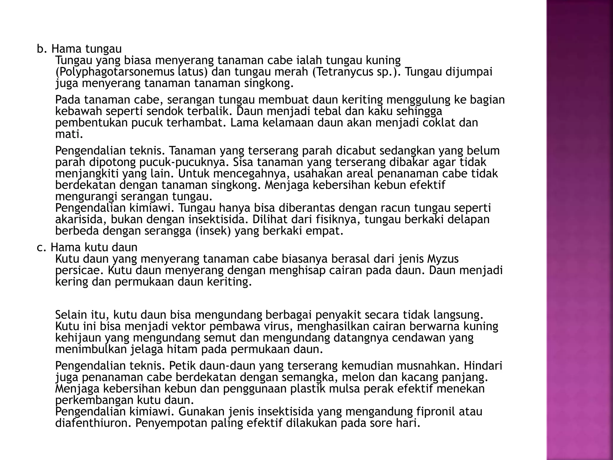 Budidaya Cabe Merah.pptx