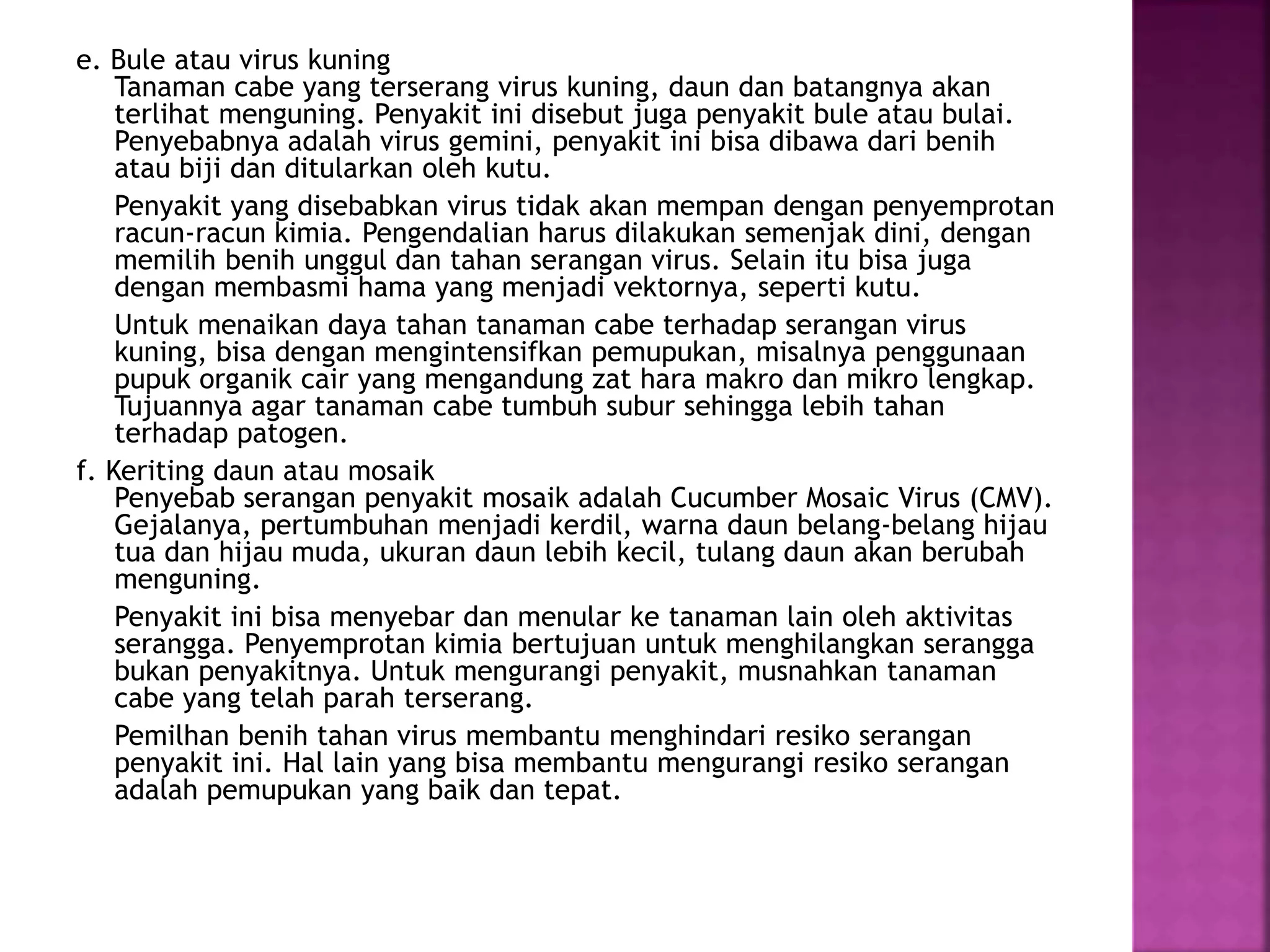 Budidaya Cabe Merah.pptx