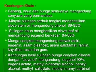 Budidaya cengkeh (BTOR) | PPT