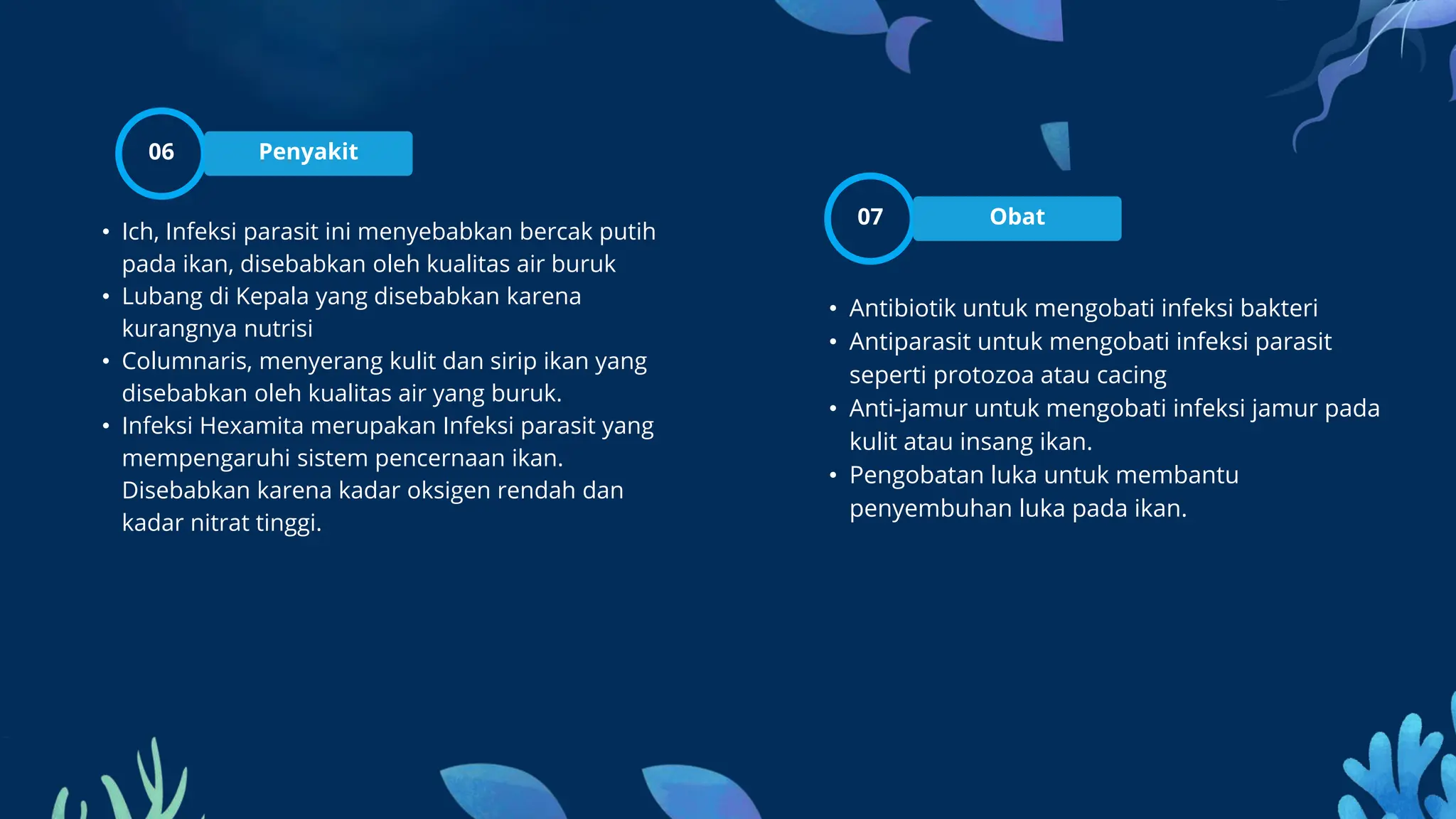 budidaya ikan hias jenis cichlidae oleh k | PPT