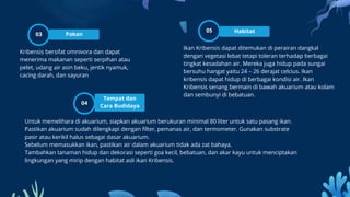 budidaya ikan hias jenis cichlidae oleh k | PPTX