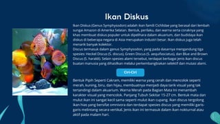 budidaya ikan hias jenis cichlidae oleh k | PPTX