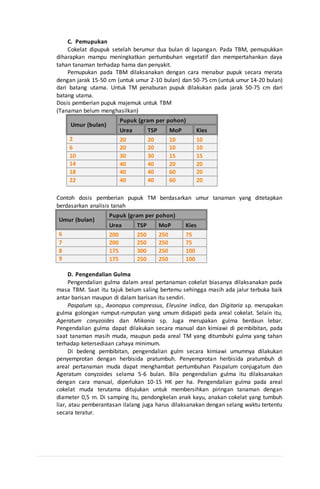 Budidaya cokelat kakao | DOCX
