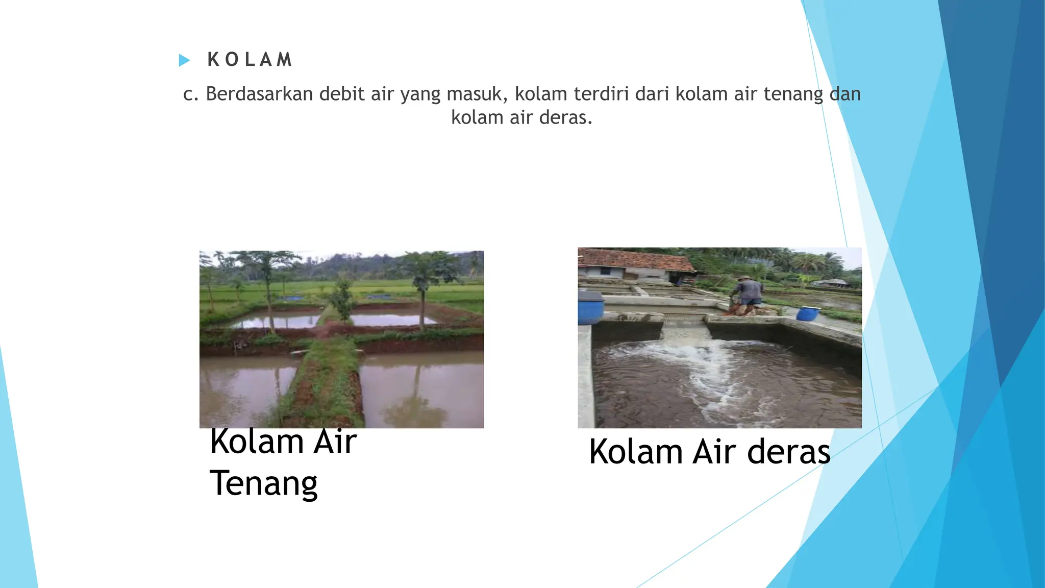 BUDIDAYA IKAN AIR TAWAR.pptx