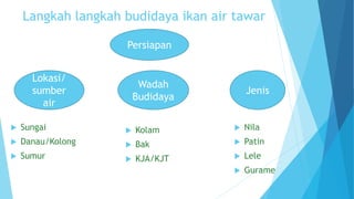 BUDIDAYA IKAN AIR TAWAR.pptx