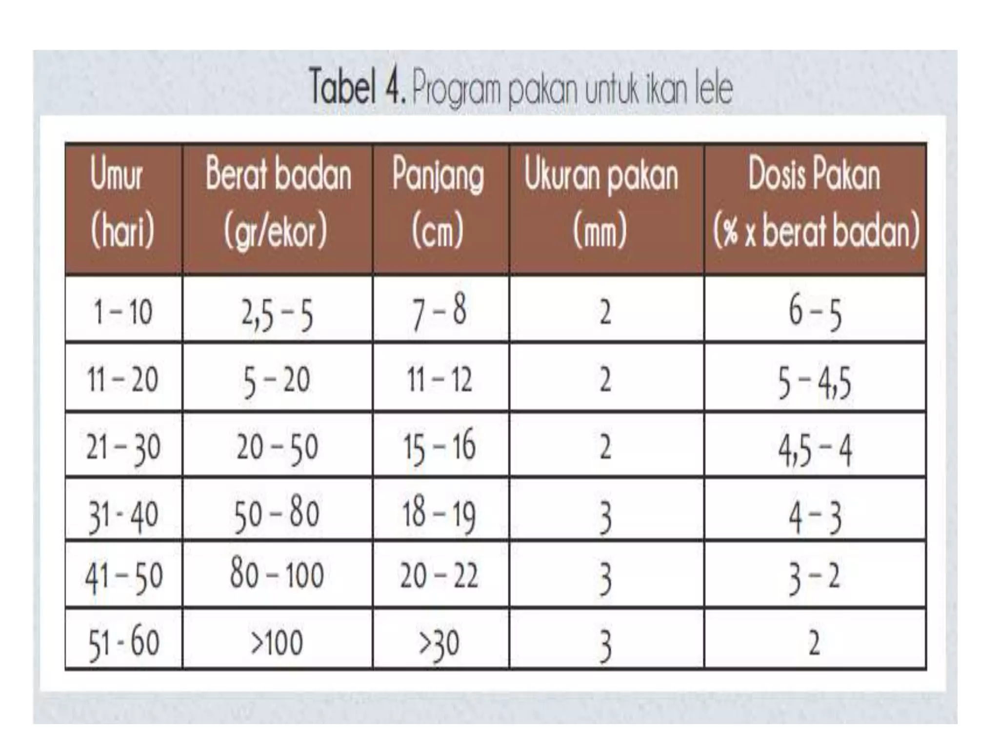 Budidaya ikan air tawar dengan bio flok | PPTX