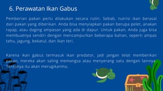 Budidaya Ikan Gabus dengan mengenali cara budidaya ikan tersebut | PPTX