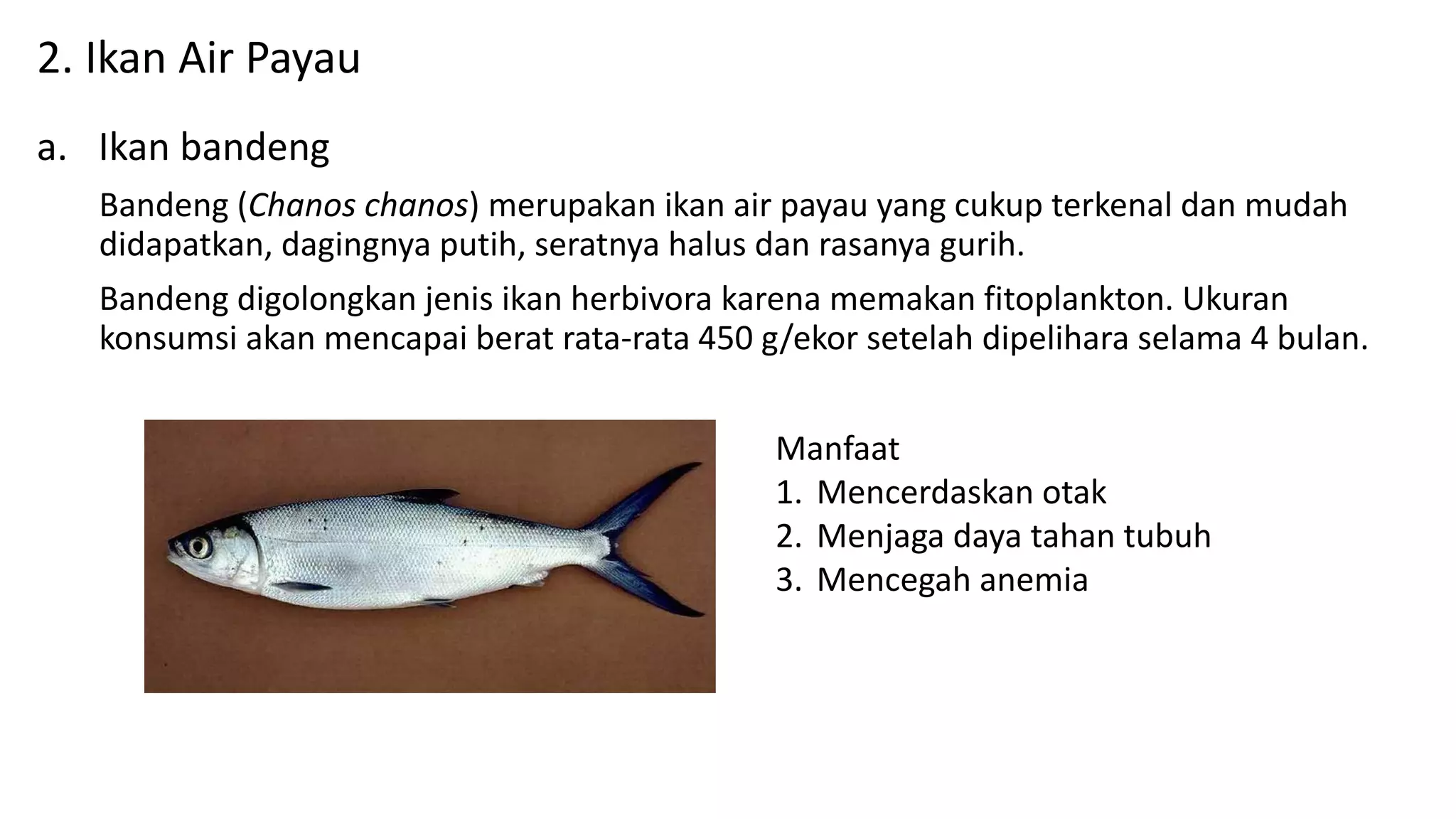 BUDIDAYA IKAN KONSUMSI .pptx