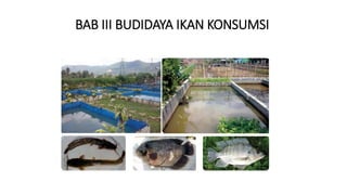 BUDIDAYA IKAN KONSUMSI .pptx