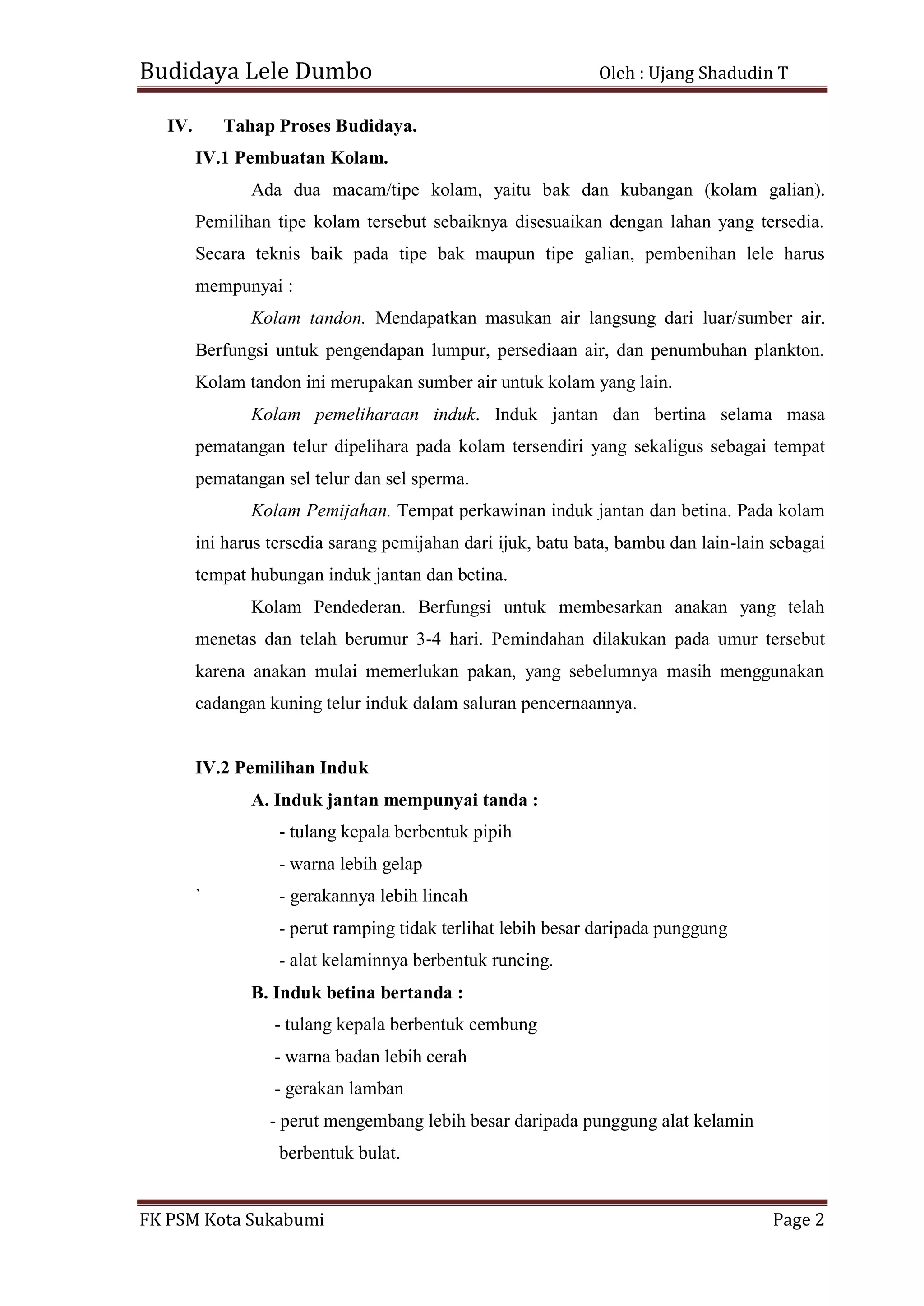 Budidaya Ikan Lele | PDF