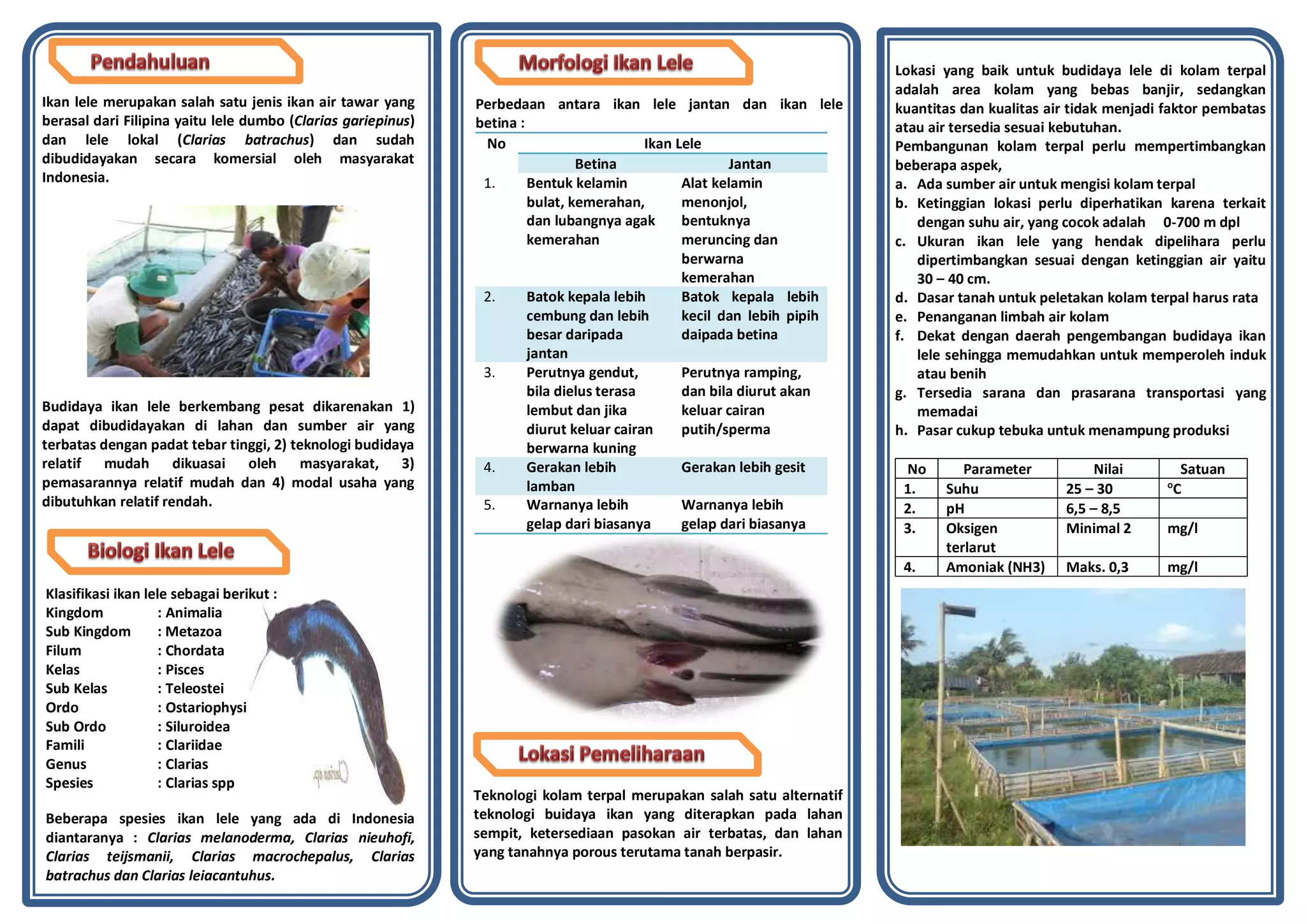 Budidaya Ikan Lele.pdf