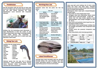 Budidaya Ikan Lele.pdf