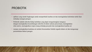 BUDIDAYA IKAN LELE (Clarias sp.pptx