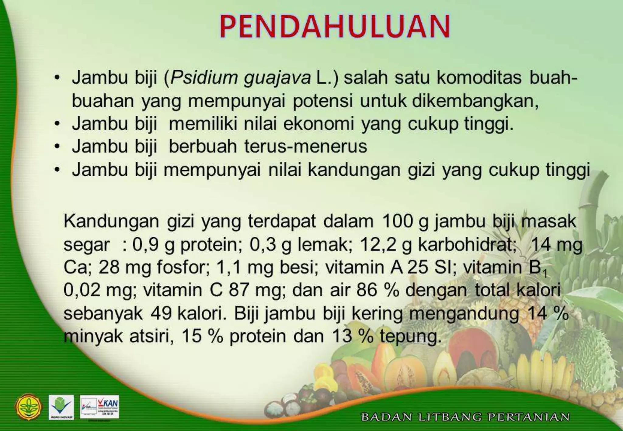 Budidaya jambu biji | PDF