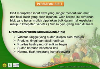 Budidaya jambu biji | PDF