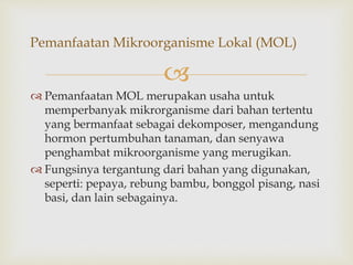 Budidaya kailan organik di lahan gambut | PPT