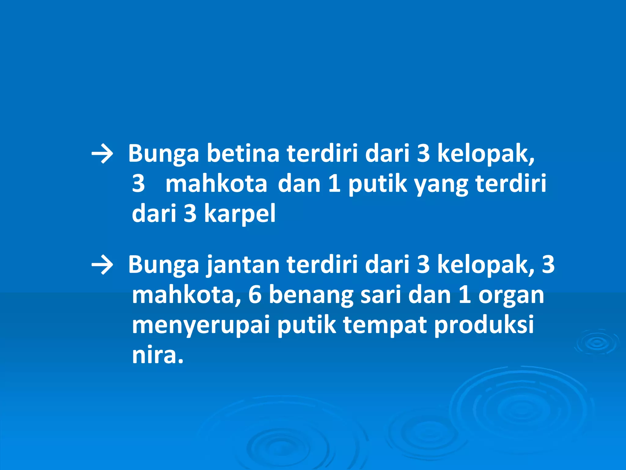 Budidaya Kelapa 1.ppt