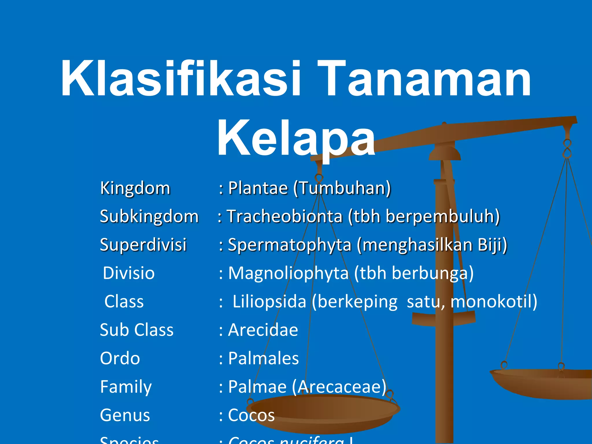 Budidaya Kelapa 1.ppt