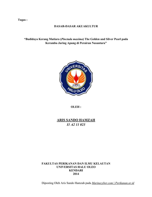 Budidaya kerang mutiara (pinctada maxima) the golden and silver pearl ...