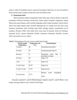 Budidaya kerang mutiara (pinctada maxima) the golden and silver pearl ...