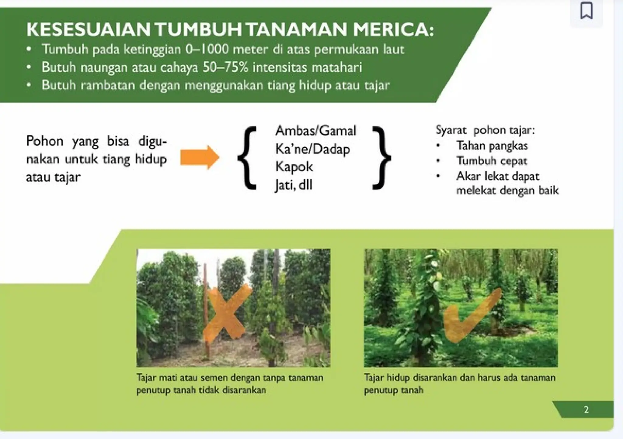 budidaya LADA sesuai GAP Dalam Rangka Peningkatan Mutu Produk.pptx