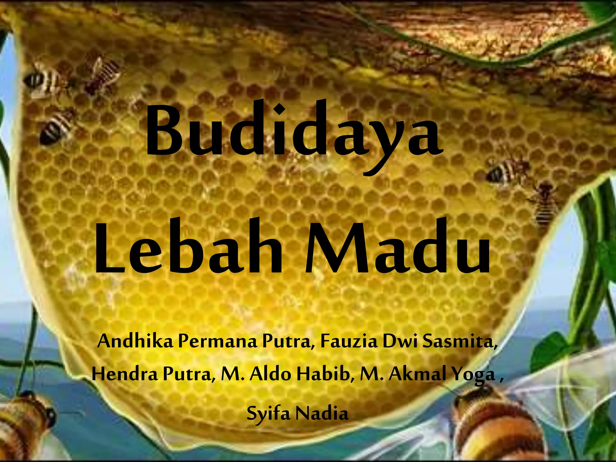 Budidaya Lebah Madu | PPTX