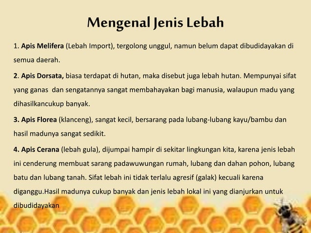 Budidaya Lebah Madu | PPTX