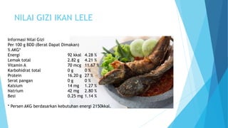 BUDIDAYA LELE BIOFLOK.pptx