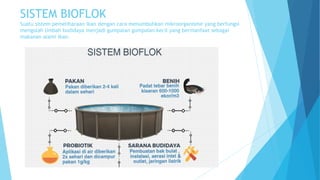 BUDIDAYA LELE BIOFLOK.pptx