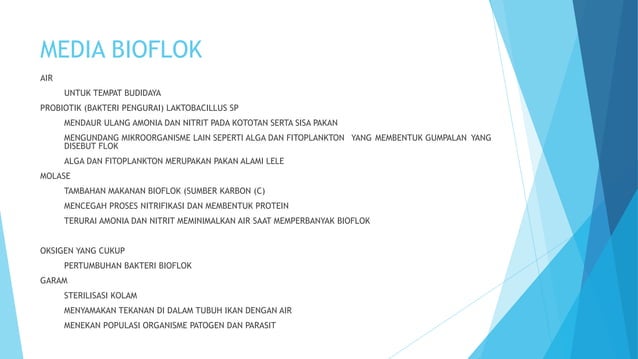 BUDIDAYA LELE BIOFLOK.pptx | Free Download