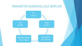 BUDIDAYA LELE BIOFLOK.pptx