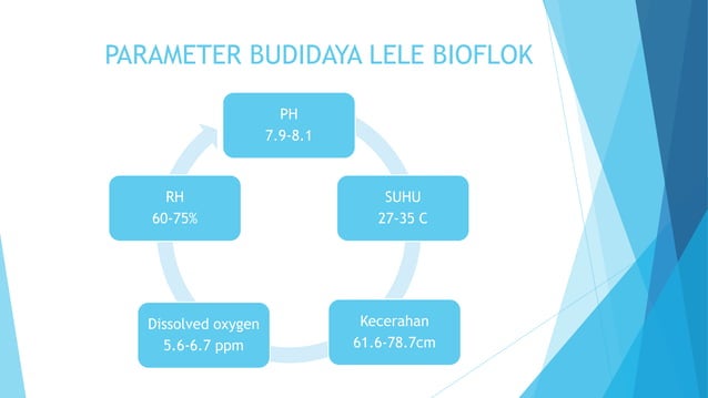 BUDIDAYA LELE BIOFLOK.pptx
