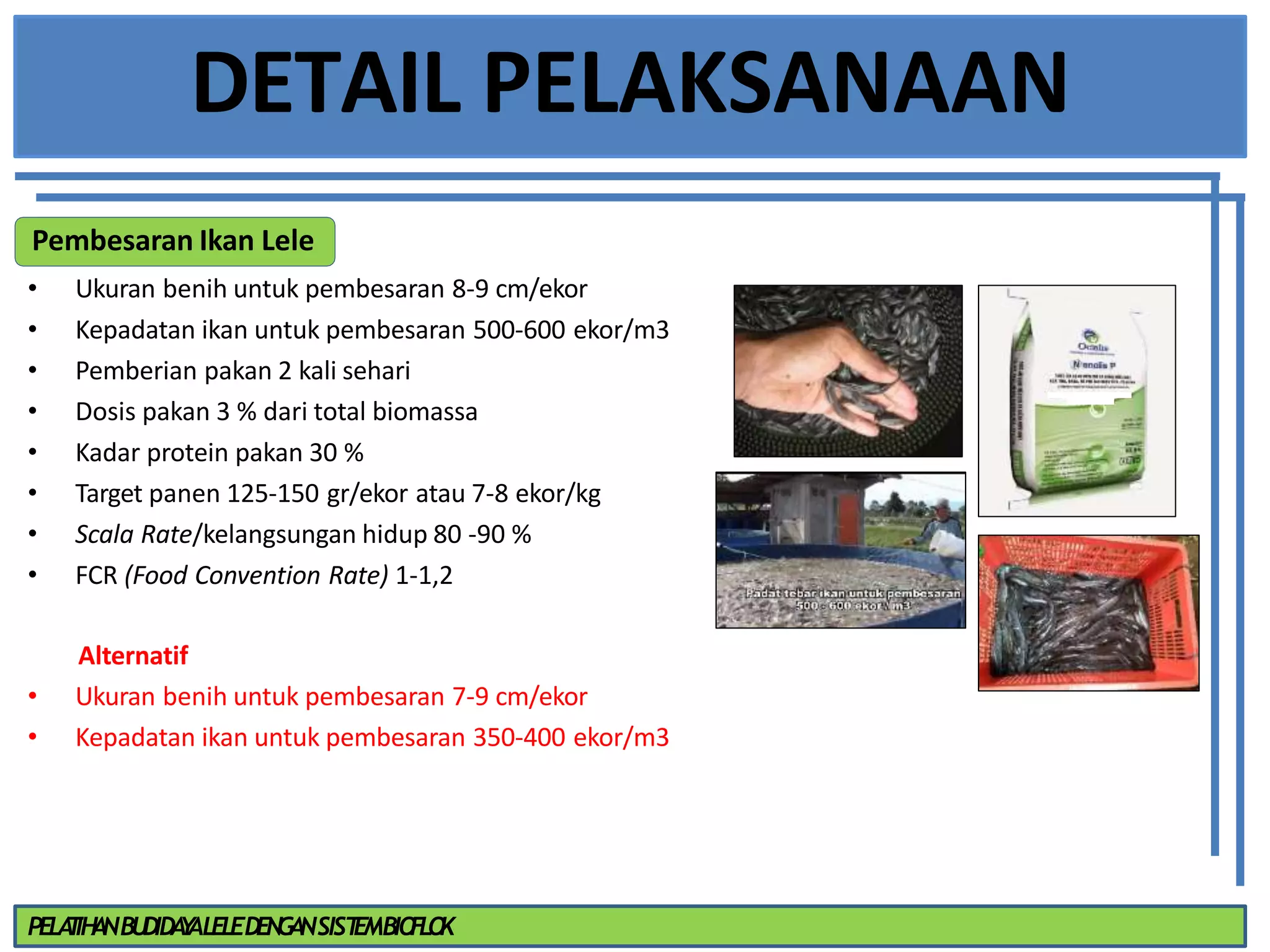 BUDIDAYA LELE DENGAN SISTEM BIOFLOK.pptx