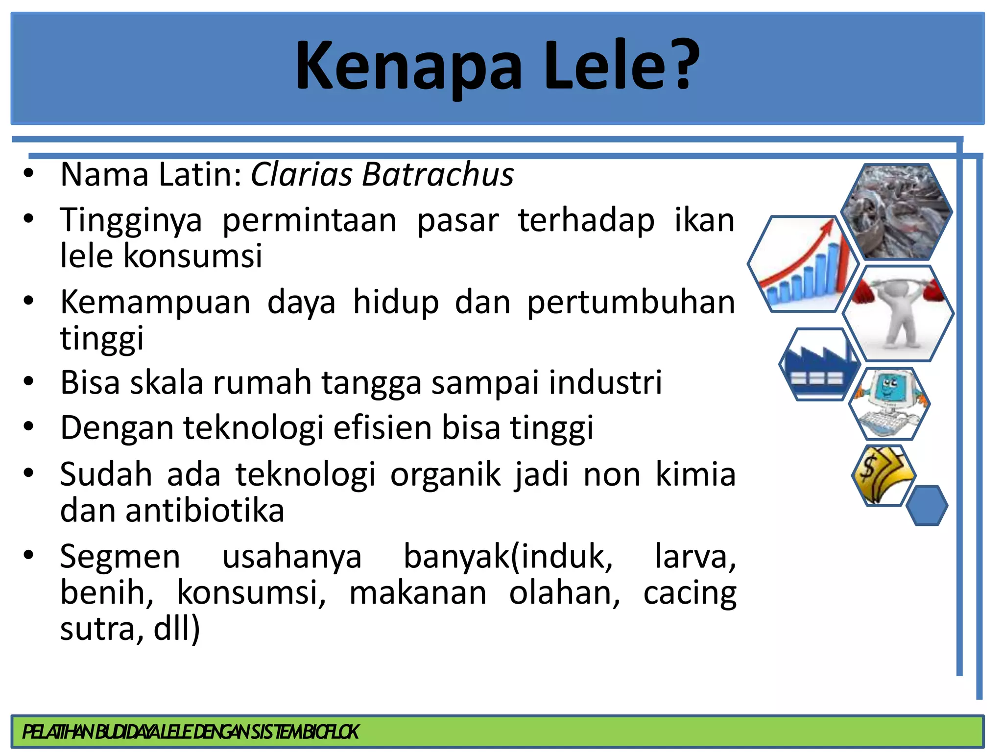 BUDIDAYA LELE DENGAN SISTEM BIOFLOK.pptx