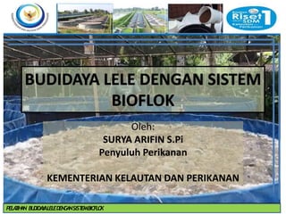 BUDIDAYA LELE DENGAN SISTEM BIOFLOK.pptx
