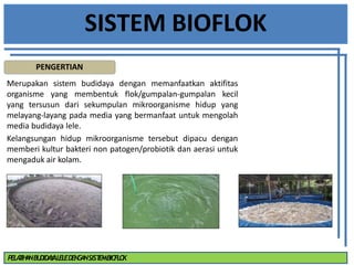 BUDIDAYA LELE DENGAN SISTEM BIOFLOK.pptx