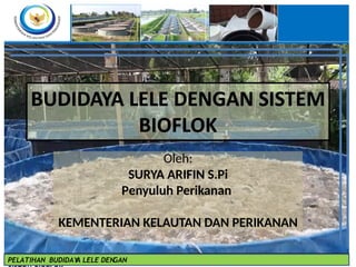 BUDIDAYA LELE DENGAN SISTEM BIOFLOK.pptx
