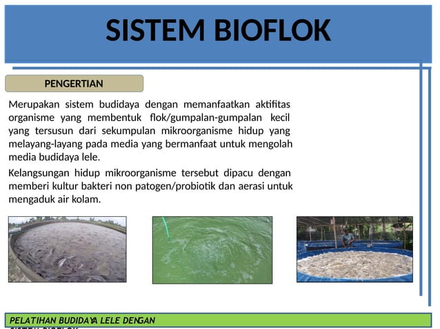 BUDIDAYA LELE DENGAN SISTEM BIOFLOK.pptx