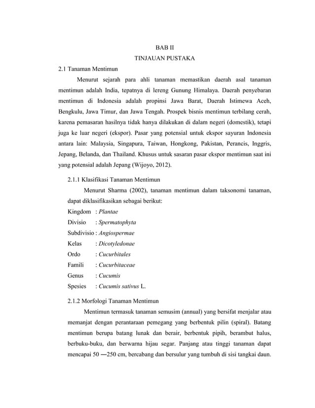 Budidaya mentimun menggunakan arang sekam | PDF