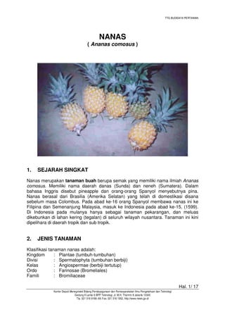 Budidaya Nanas.pdf