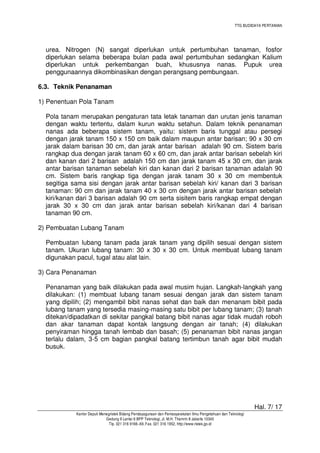 Budidaya Nanas.pdf