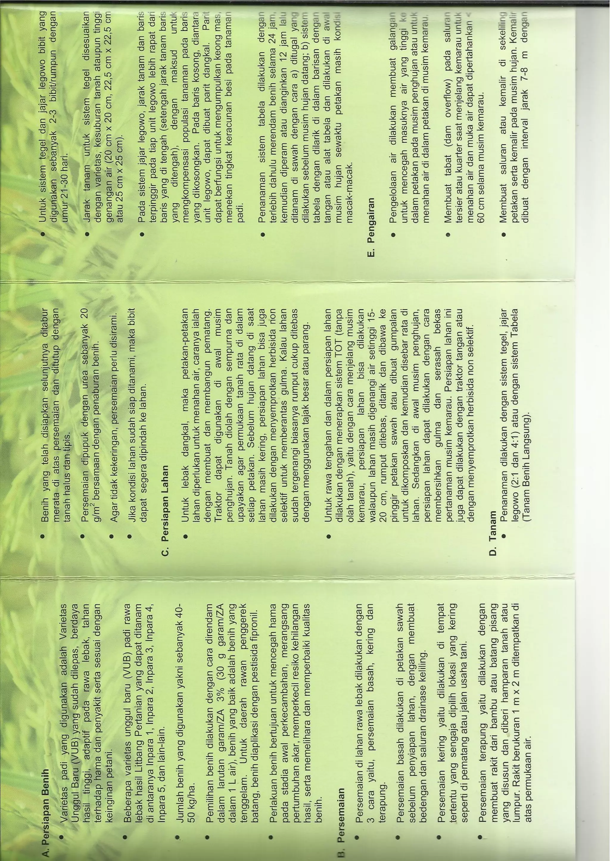 Budidaya padi | PDF