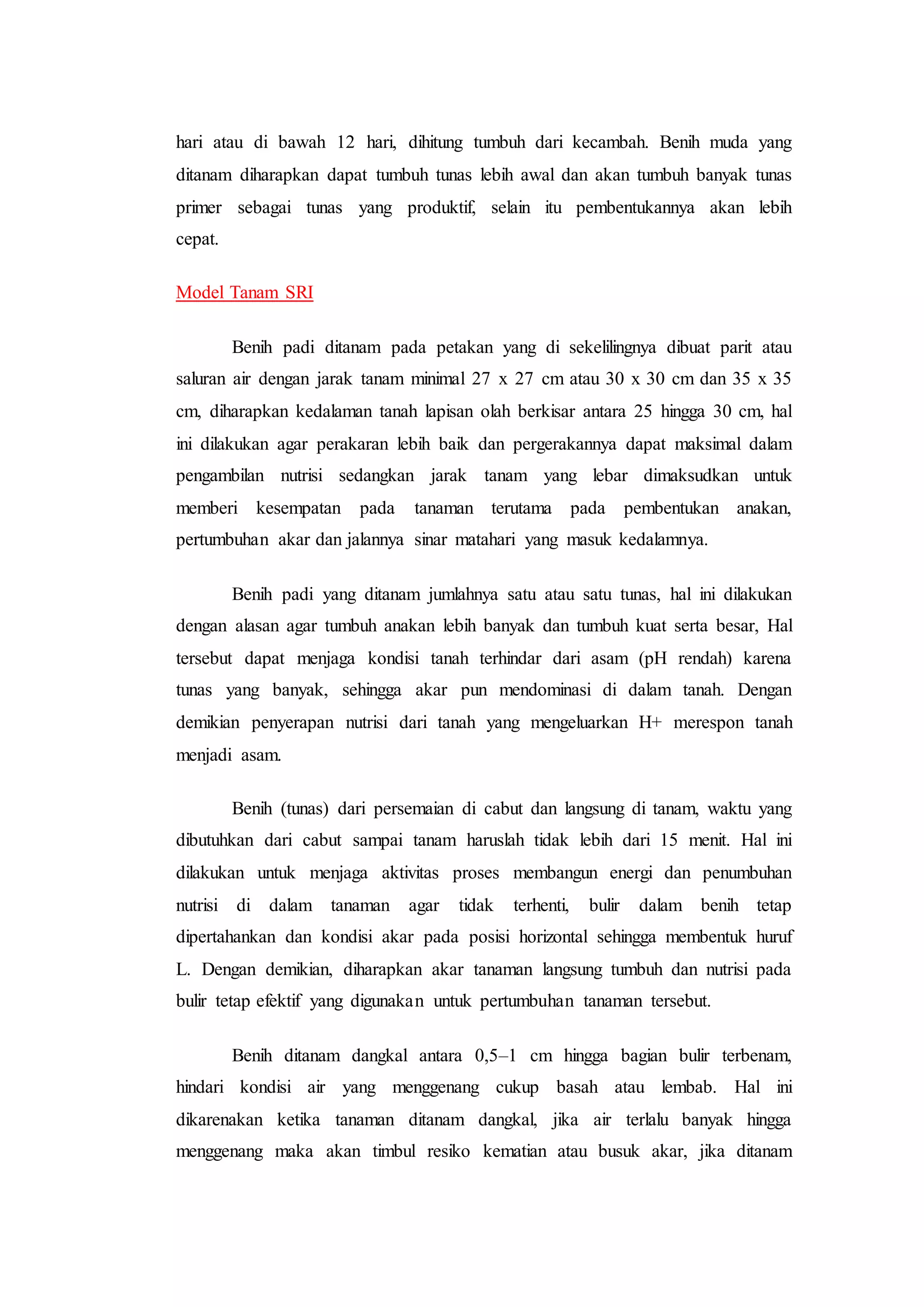 Budidaya padi dengan metode sri | DOCX