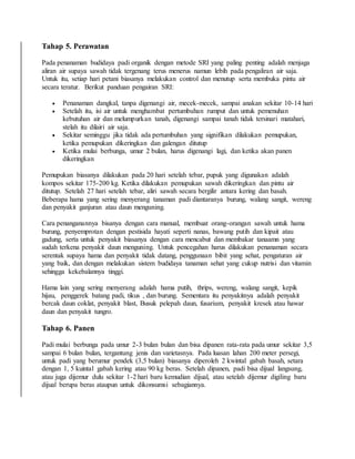 Budidaya padi organik dengan sistem sri | DOCX