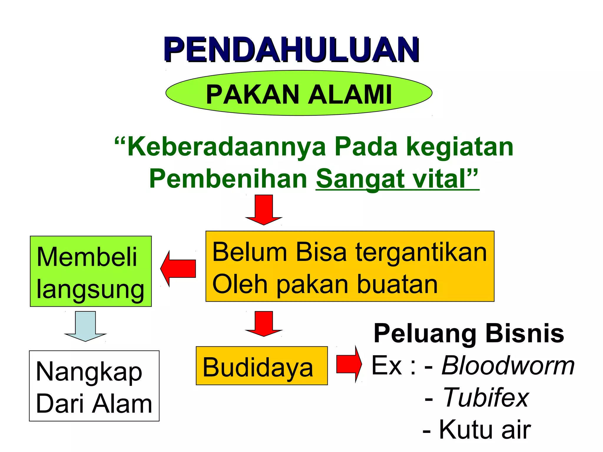 Budidaya pakan alami | PPT