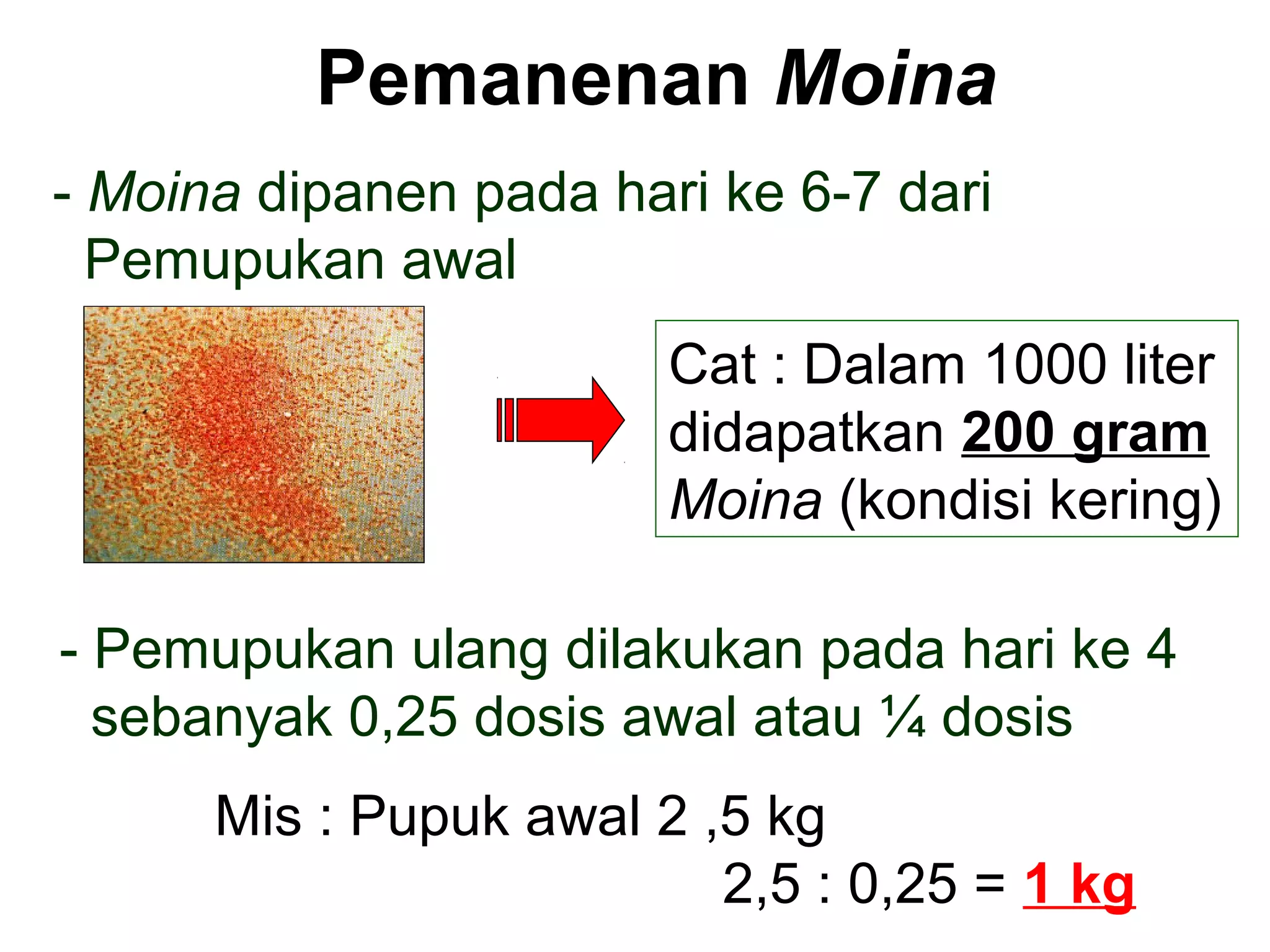 Budidaya pakan alami | PPT